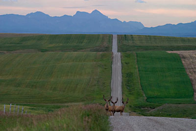 Southern Alberta - ITE Canada